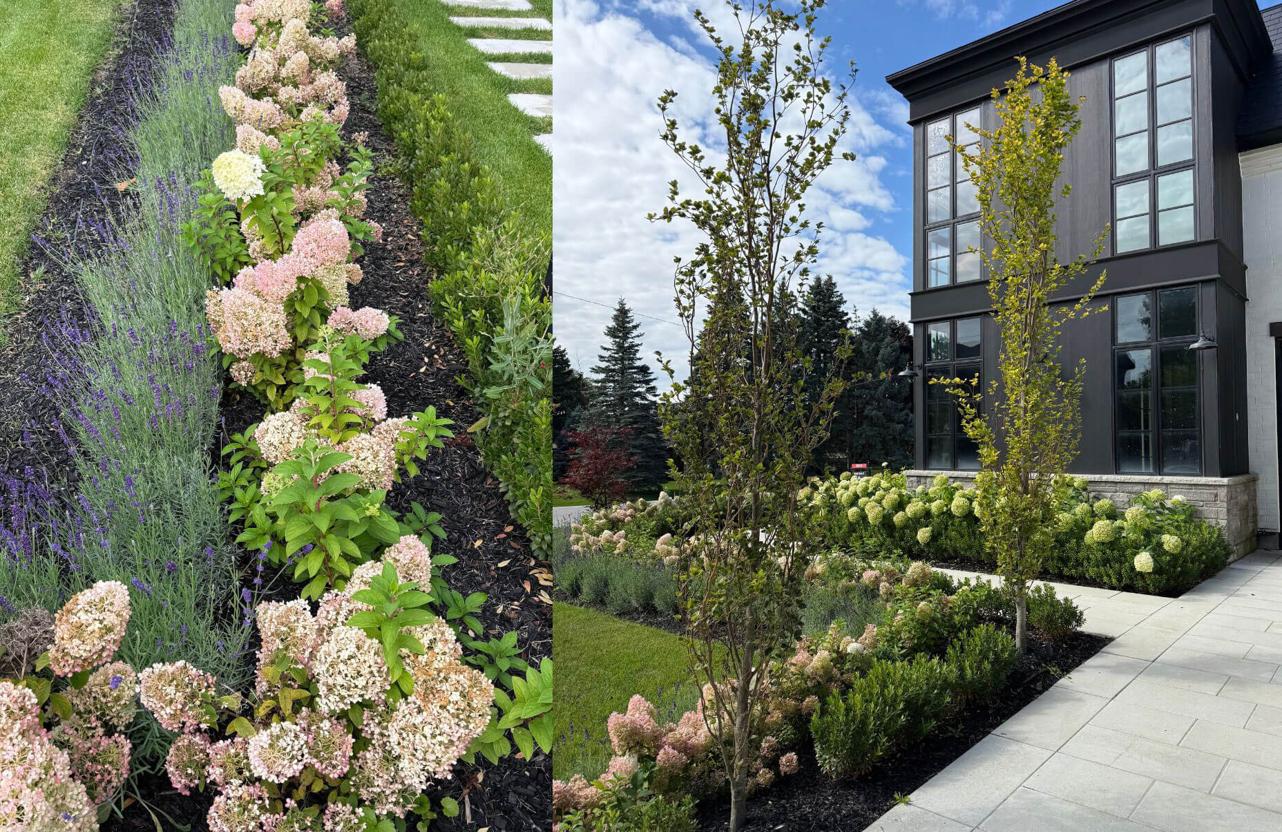 Landscape Design - Sensus Design Studio